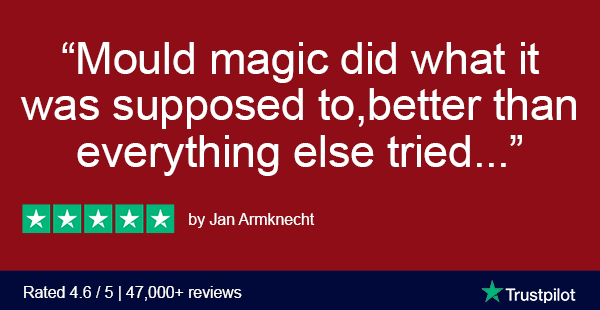 Mould Magic